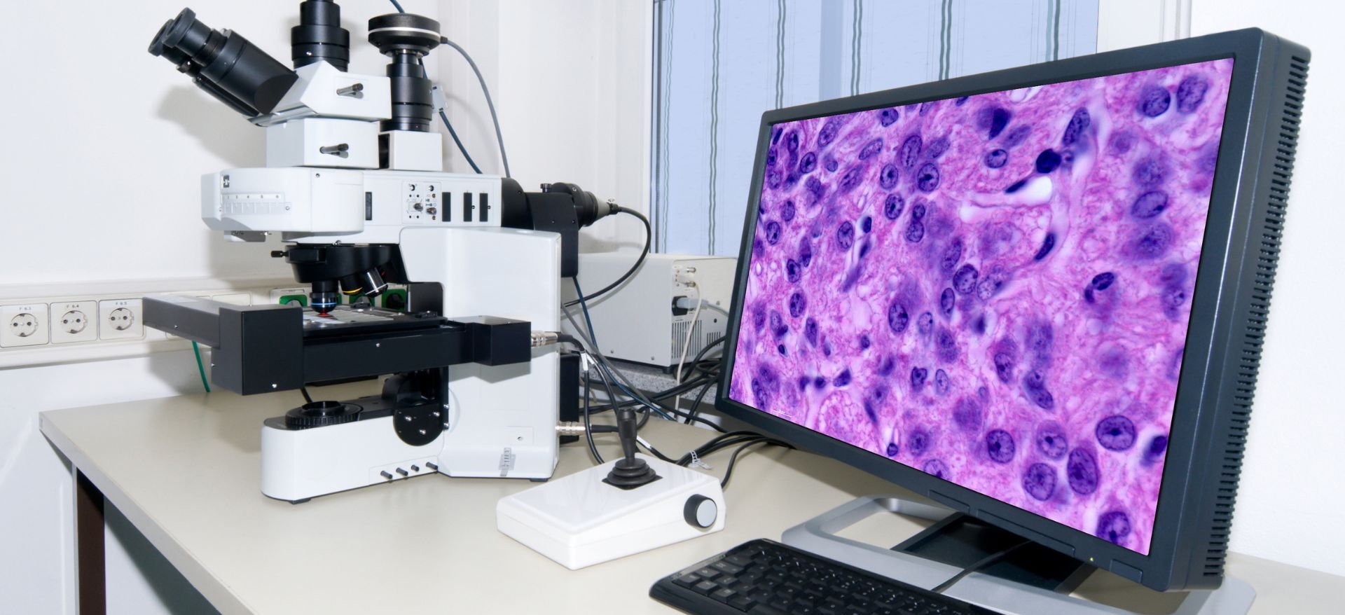 Flow Imaging Microscopy Market - Global Market Database